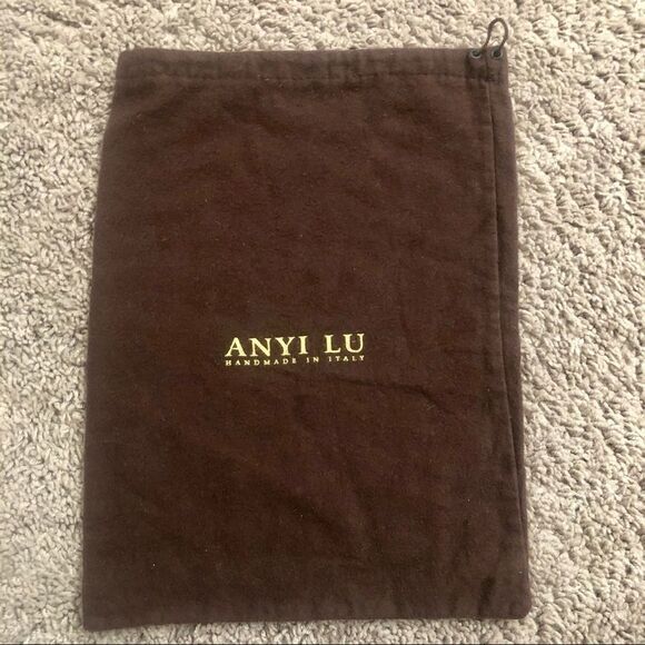 Anyi Lu | Bags | Smallbrown Anyilu Dustbag | Poshmark